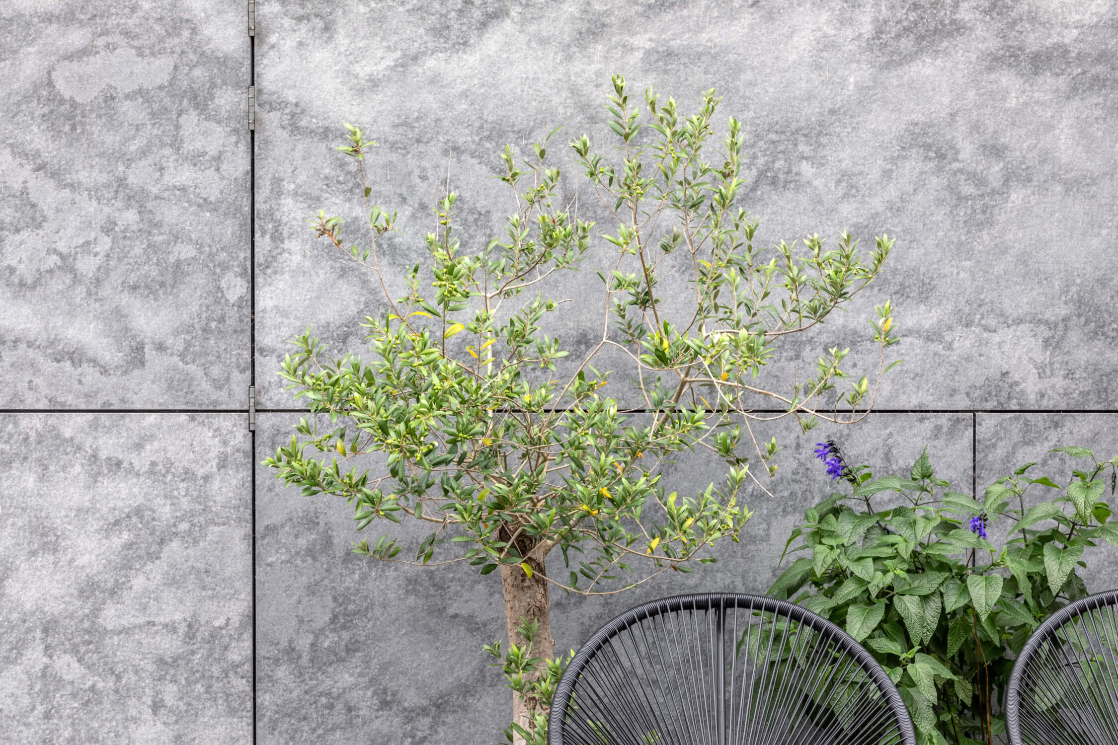 environmental impact of fibre cement | SVK